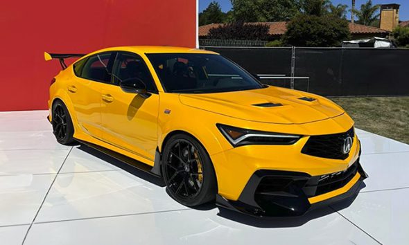 What Does Riley Reid's Back Tattoo Mean?